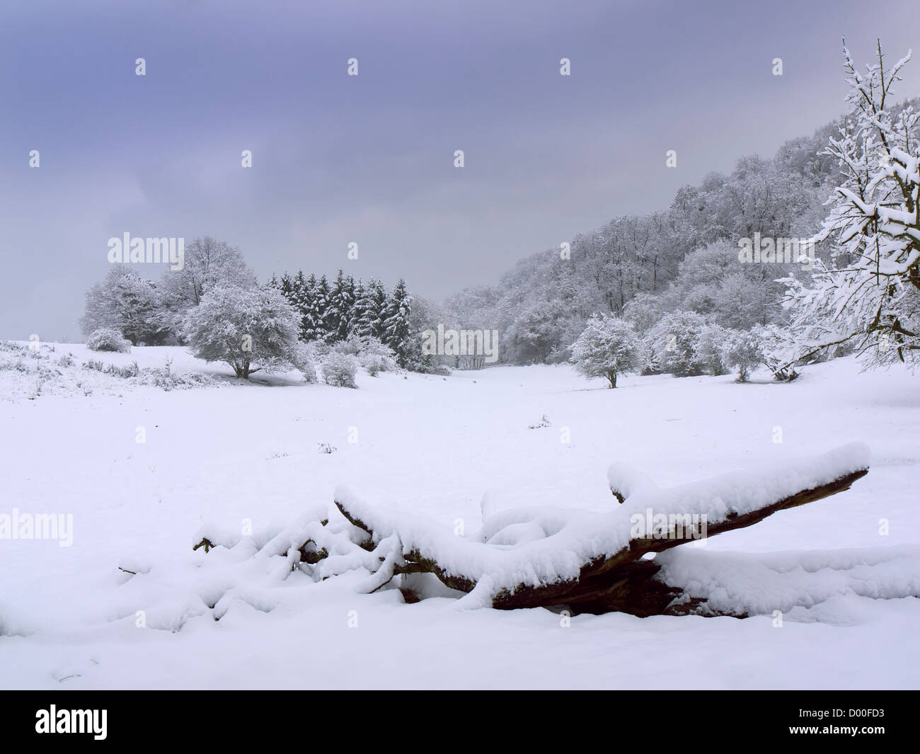 a snowy countryside Stock Photo - Alamy