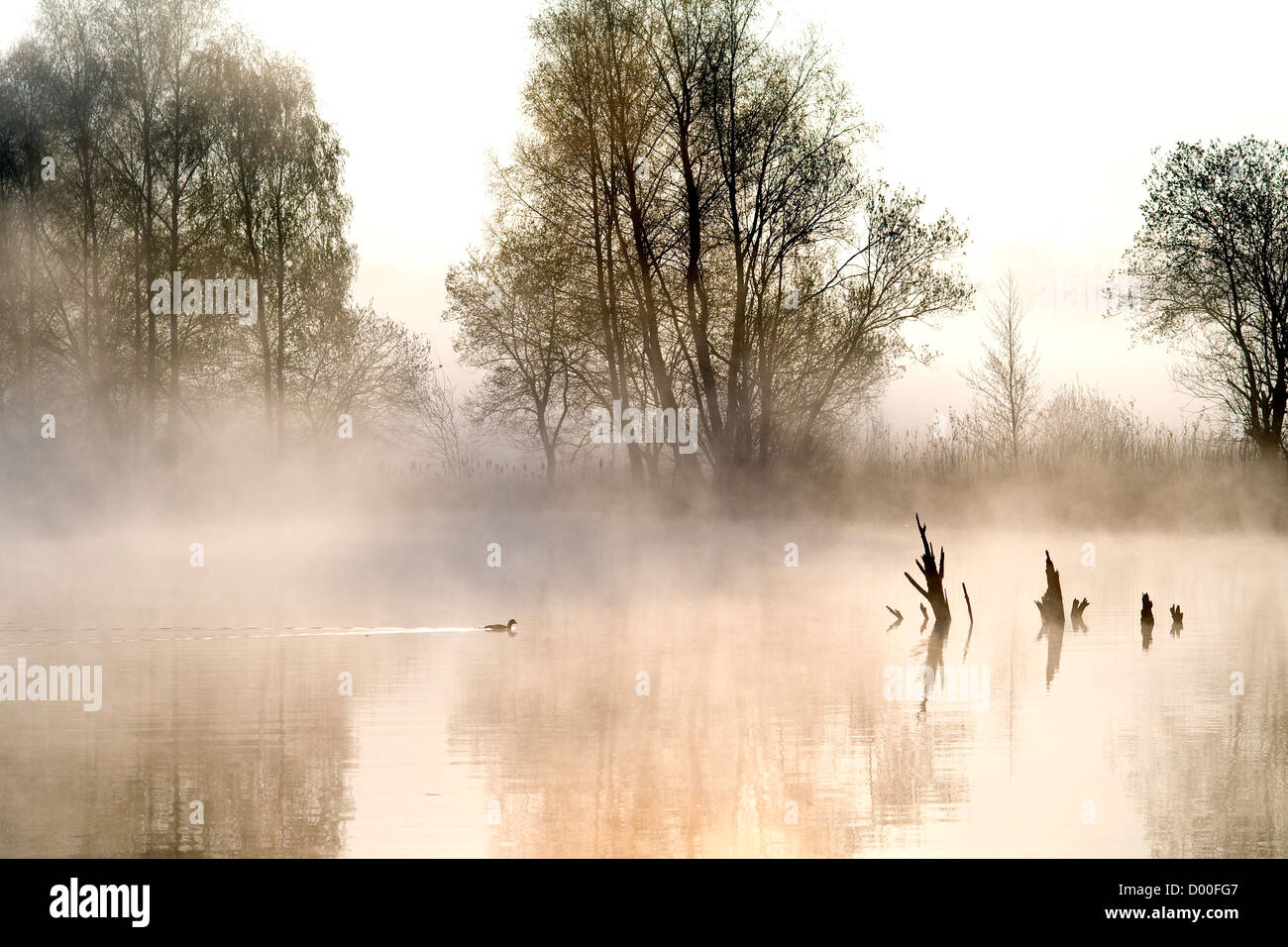 Atmosphere Of Mist Stock Photo - Alamy