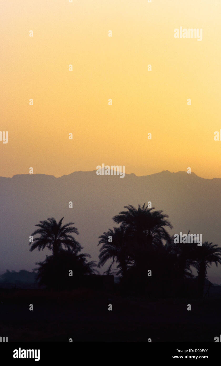 Tihama Yemen Sunset Over Trees And Mountains Stock Photo - Alamy