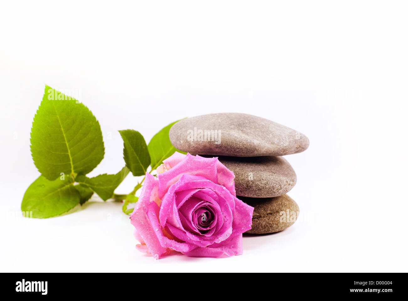 a rose and a stack of pebble Stock Photo - Alamy