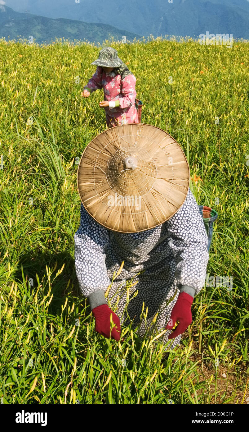 Female famer hi-res stock photography and images - Alamy