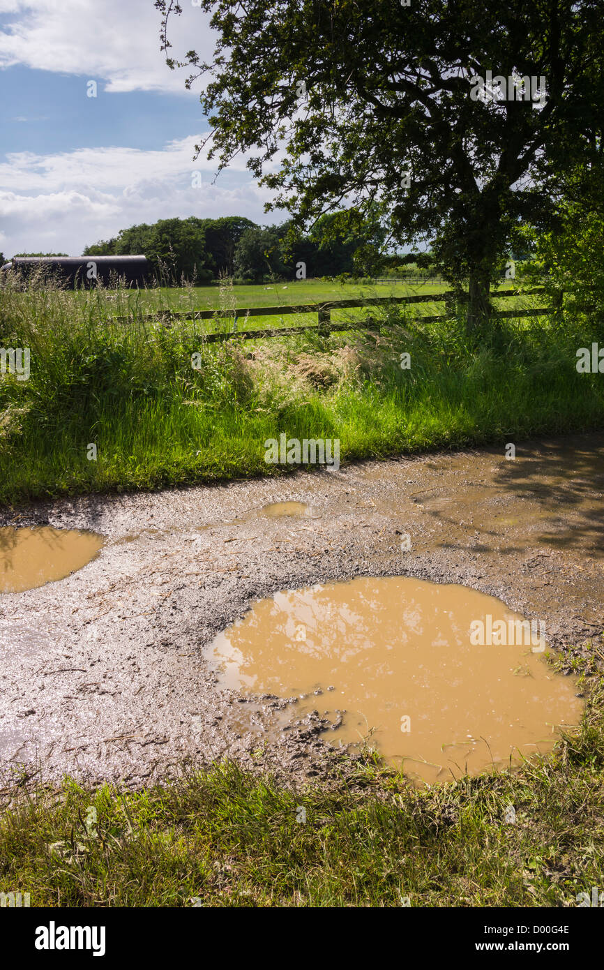 A large puddle on a country lane in the Northumbrian countryside Stock ...