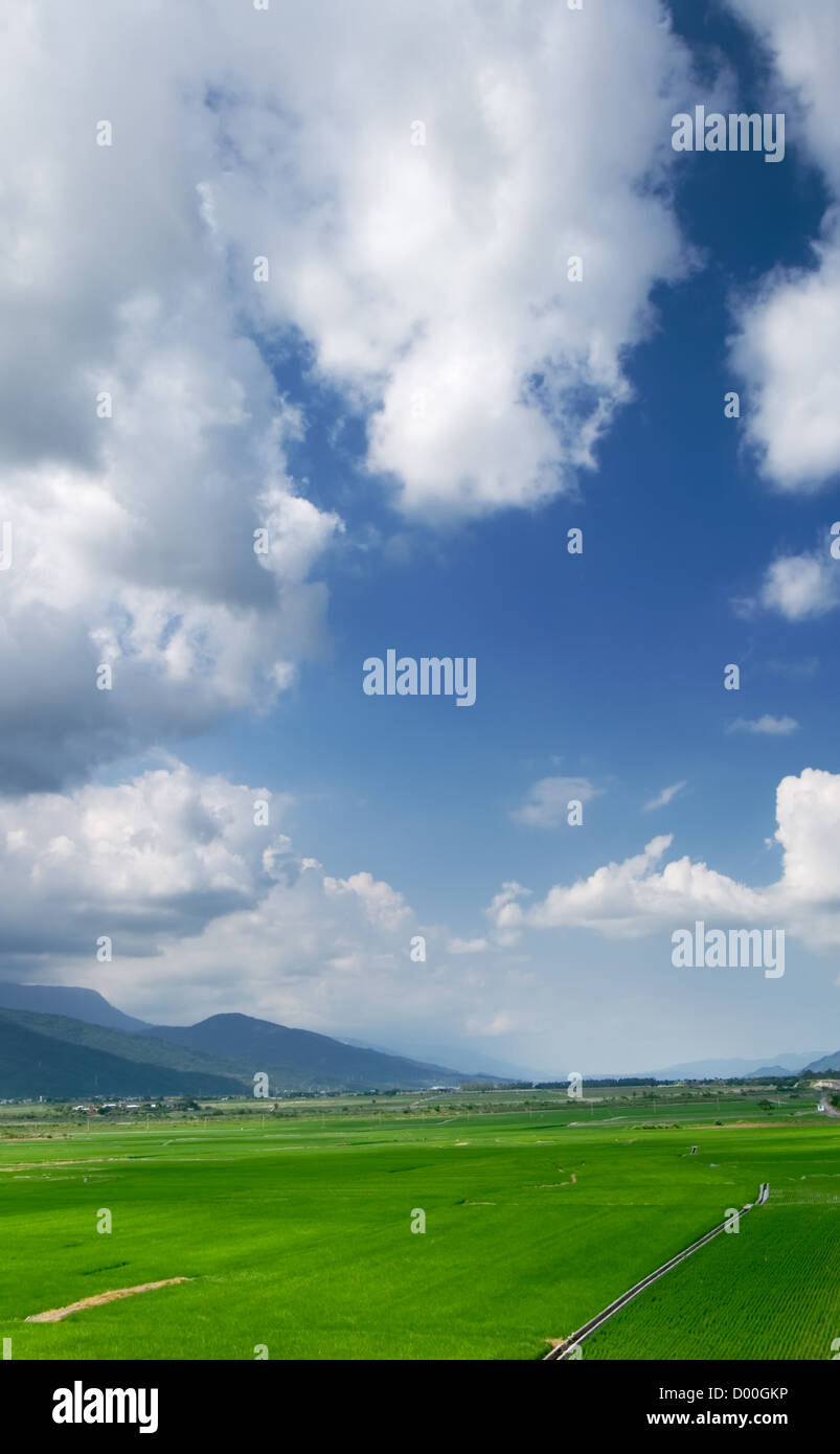 It is a beautiful landscape of green farm with blue sky and white ...