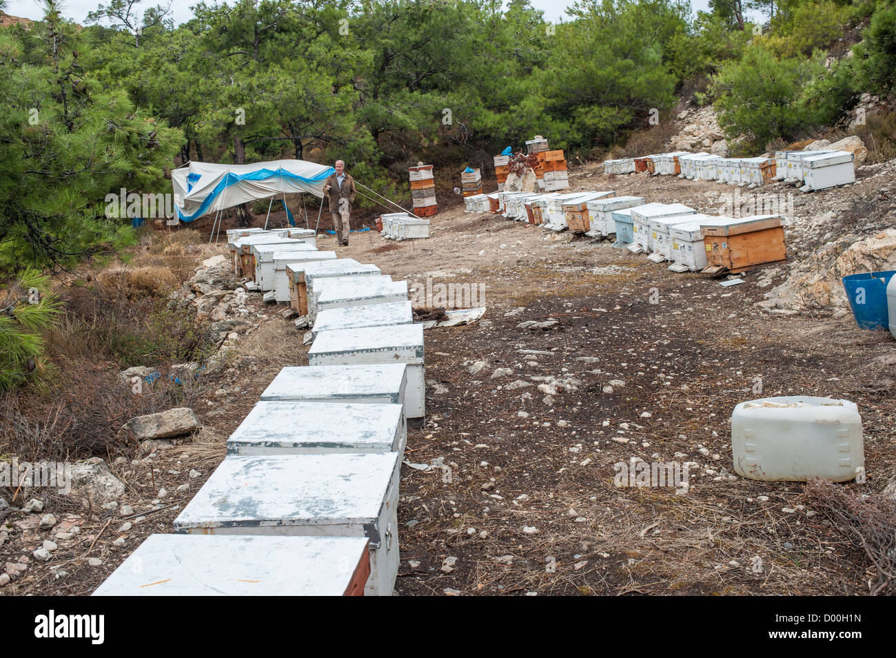 Turkey beekeeping hi-res stock photography and images - Alamy