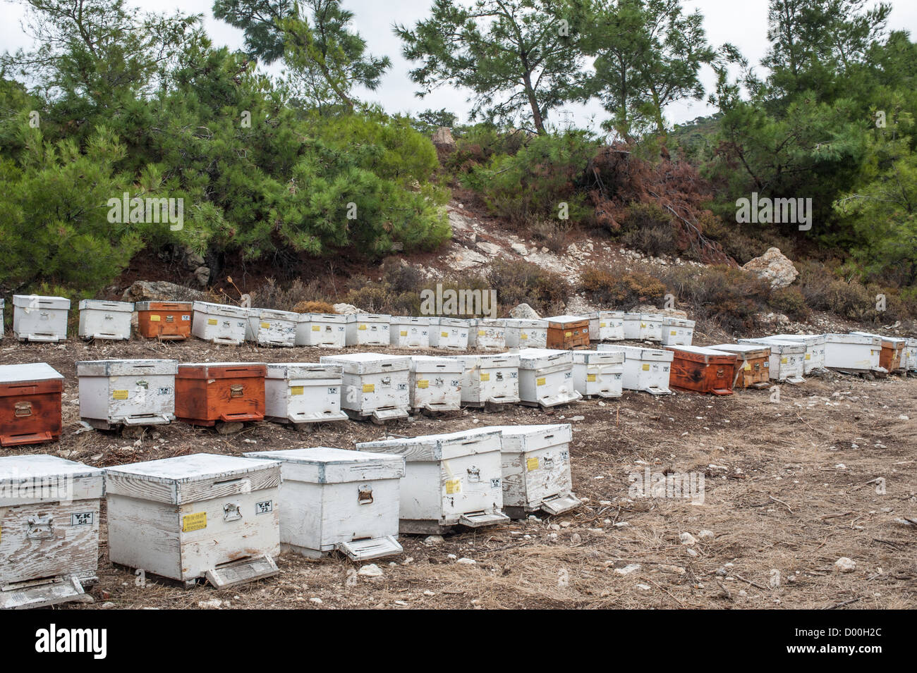 Turkey beekeeping hi-res stock photography and images - Alamy