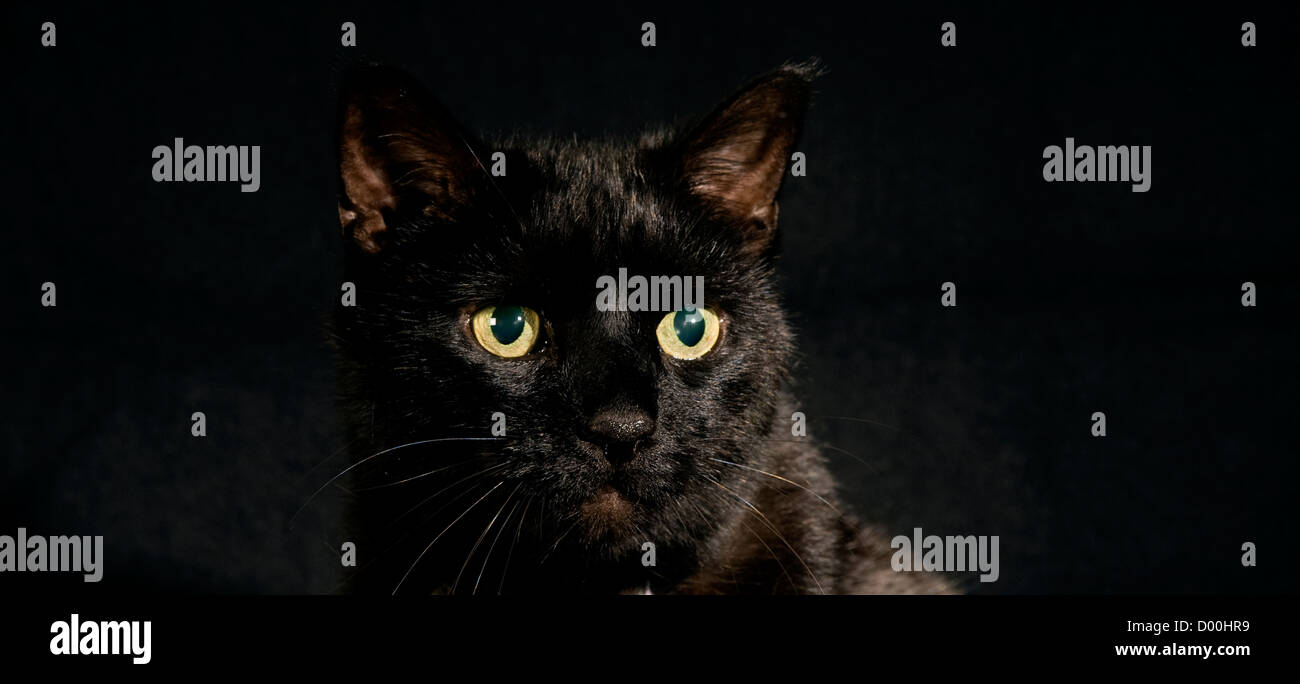 Panoramic format hi-res stock photography and images - Alamy