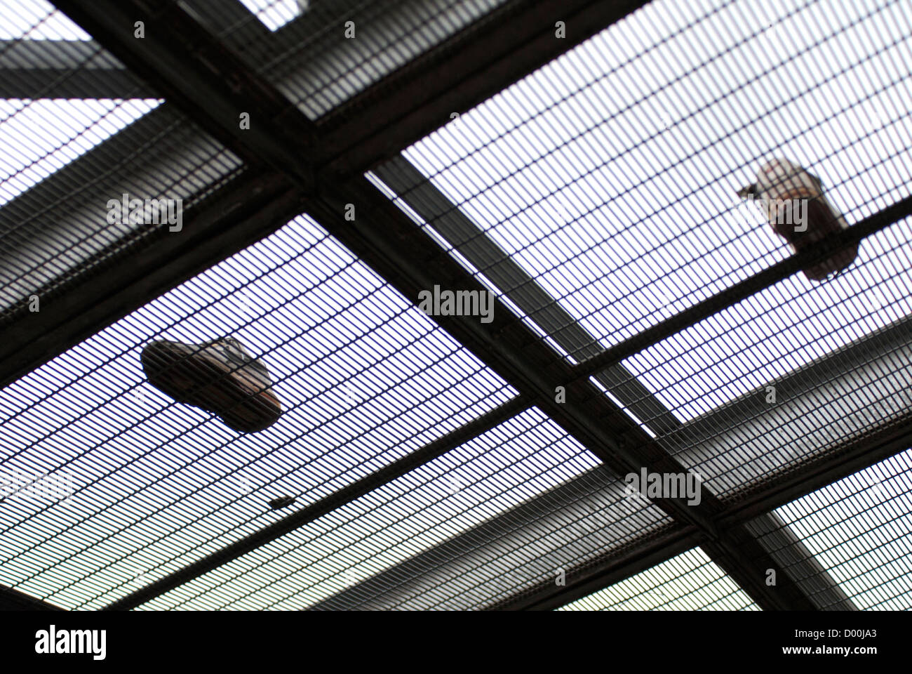Pair of trainers pointing opposite directions on top of a caged walkway ...