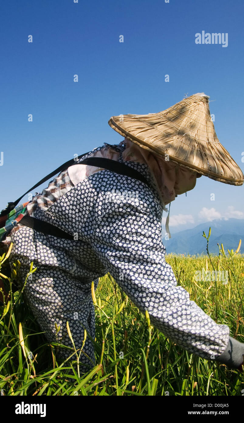 Famer worker hi-res stock photography and images - Alamy