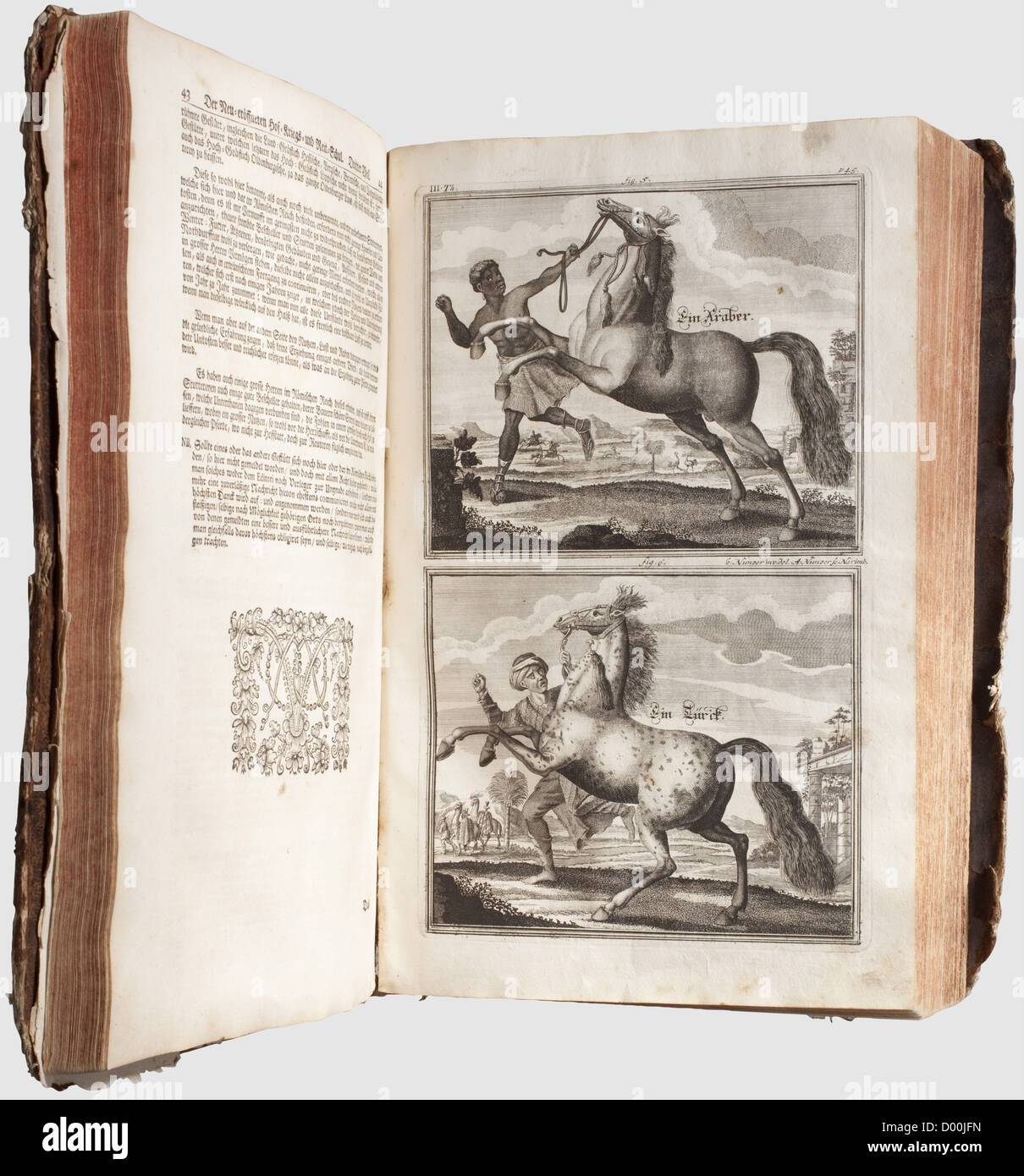 A rhinoceros horn, South Africa, 1st half of the 20th century. Primary ...