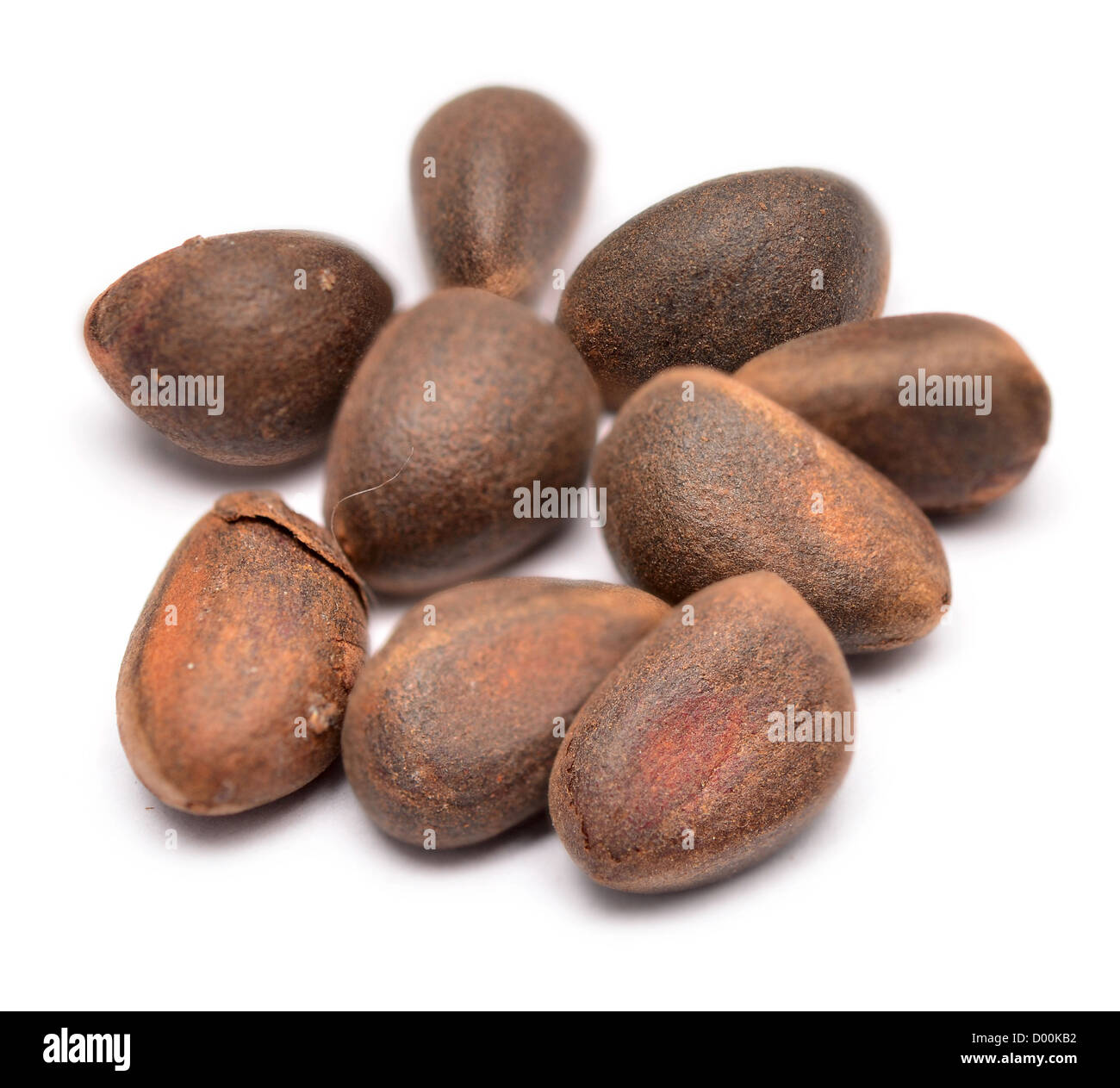 cedar nuts isolated on white Stock Photo - Alamy