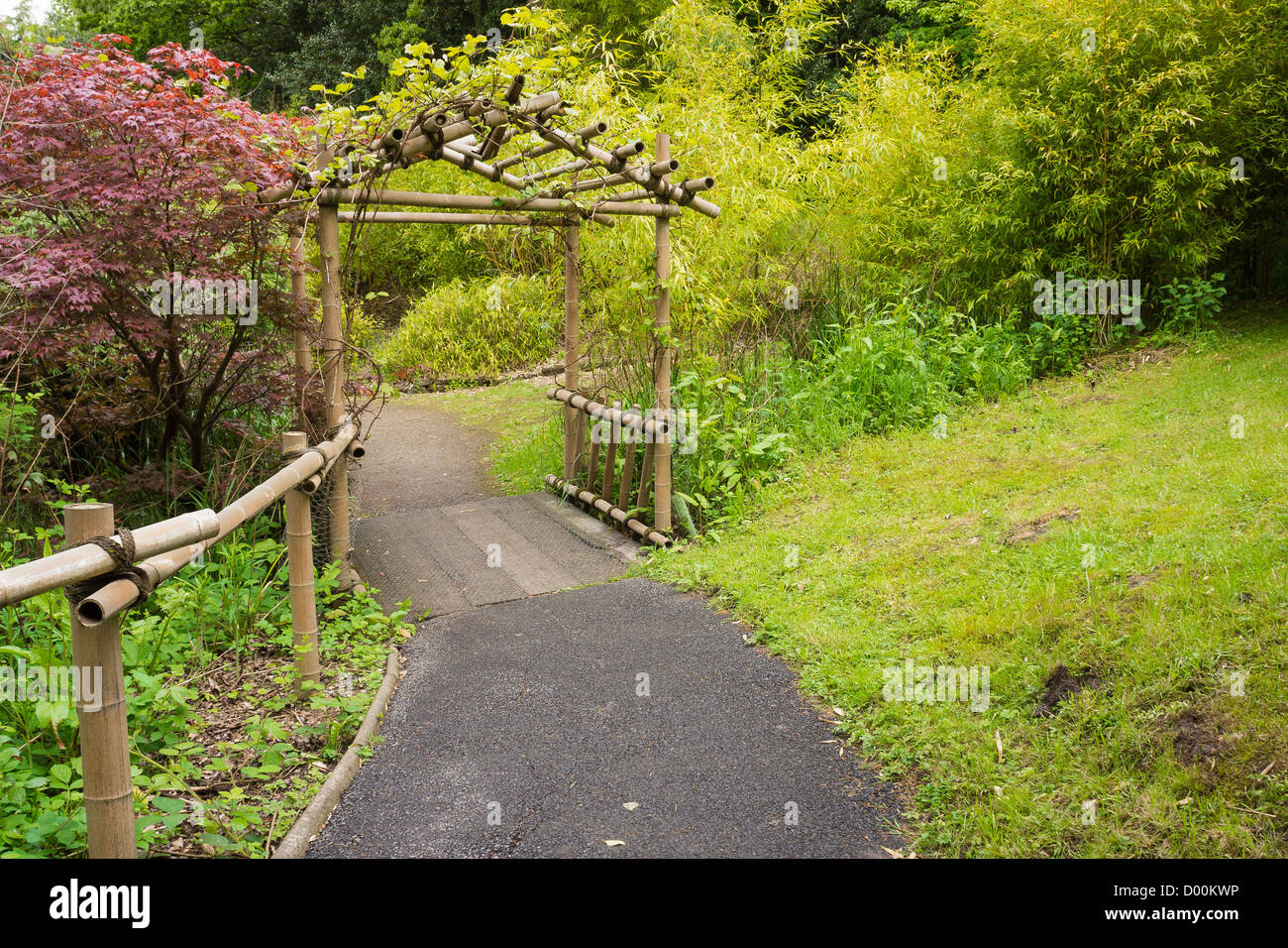 A bamboo arch over a path at the Botanic Gardens at Durham University ...