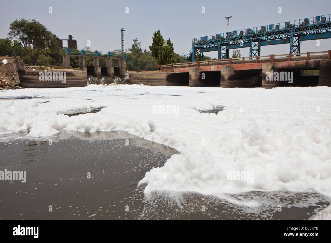 Foam forms on an extremely polluted river that runs along Kalindi Kunj ...