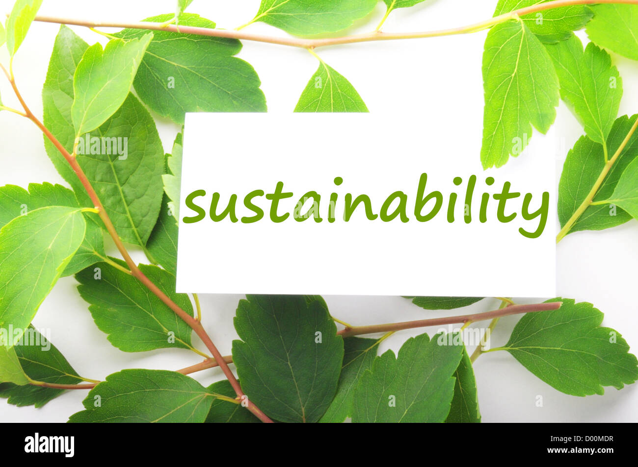 sustainability concept with word on nature still life Stock Photo - Alamy