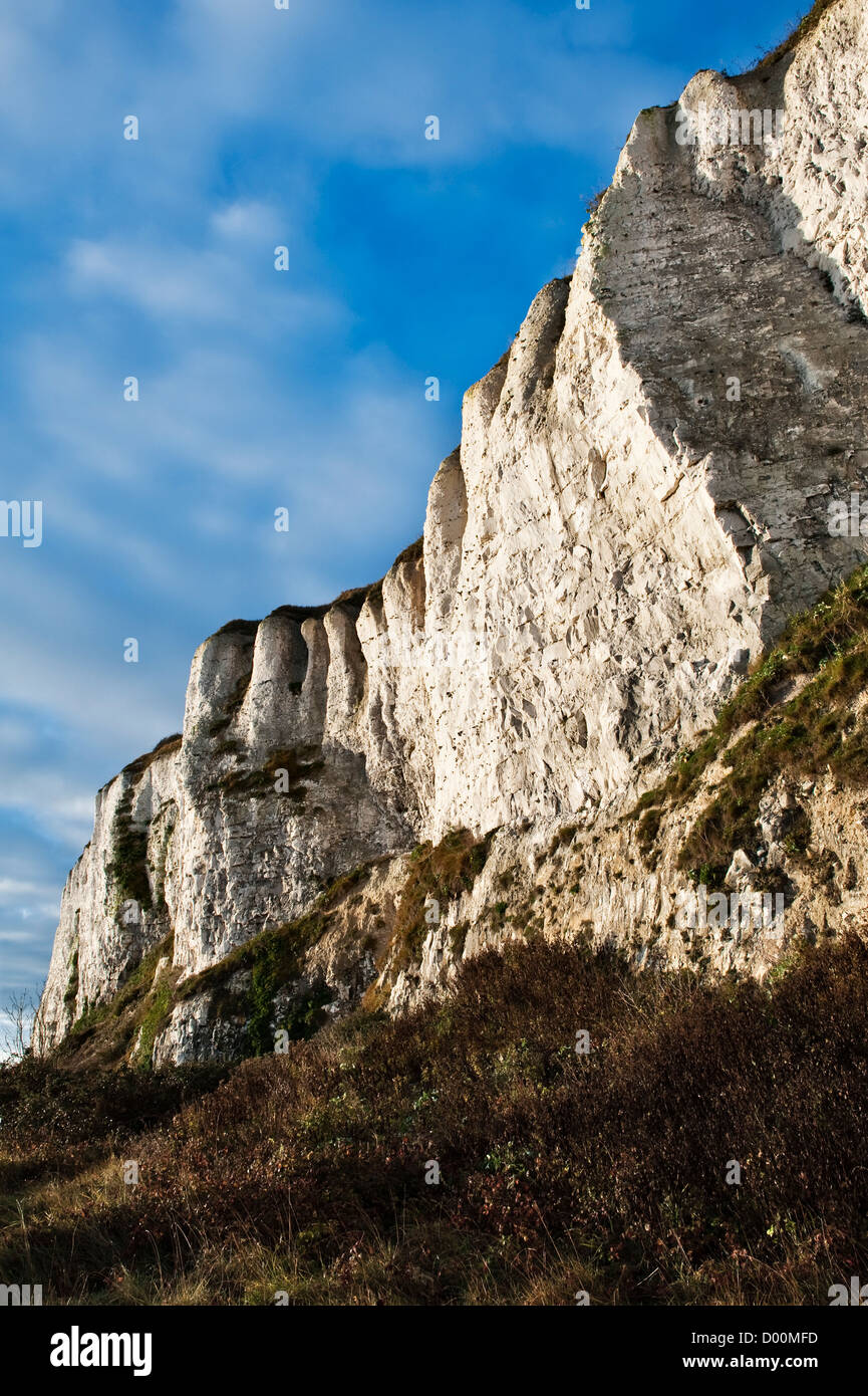 Looking up at the famous White Cliffs, between Deal and Dover, Kent, UK ...