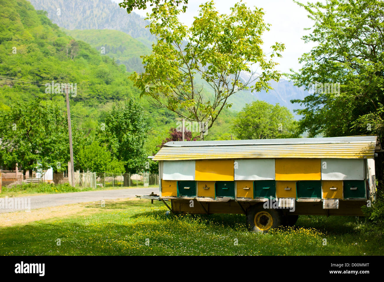 Yellow rural hive set for bee colony summer day Stock Photo - Alamy