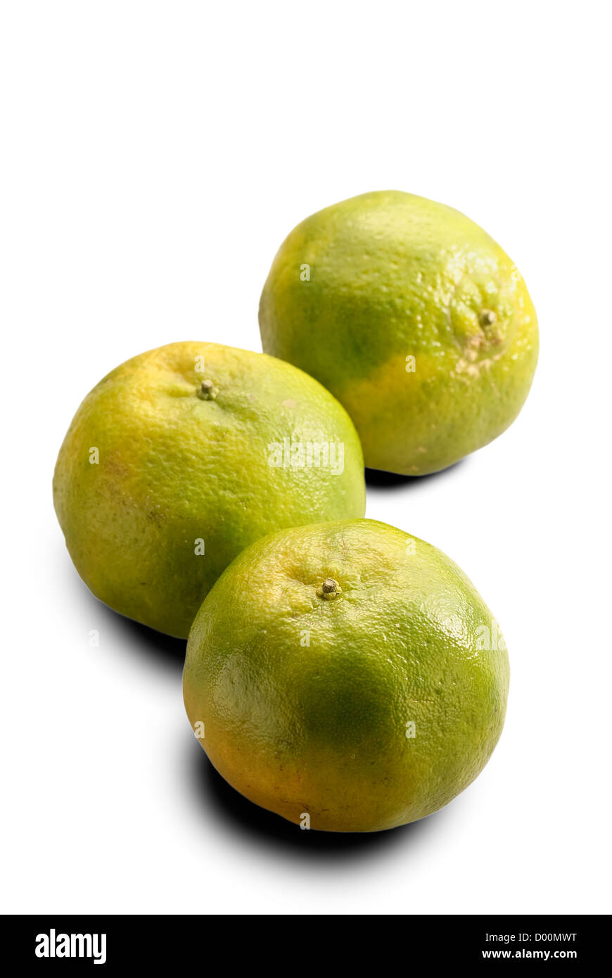 Tangerines, group of green color fruit isolated on white Stock Photo ...