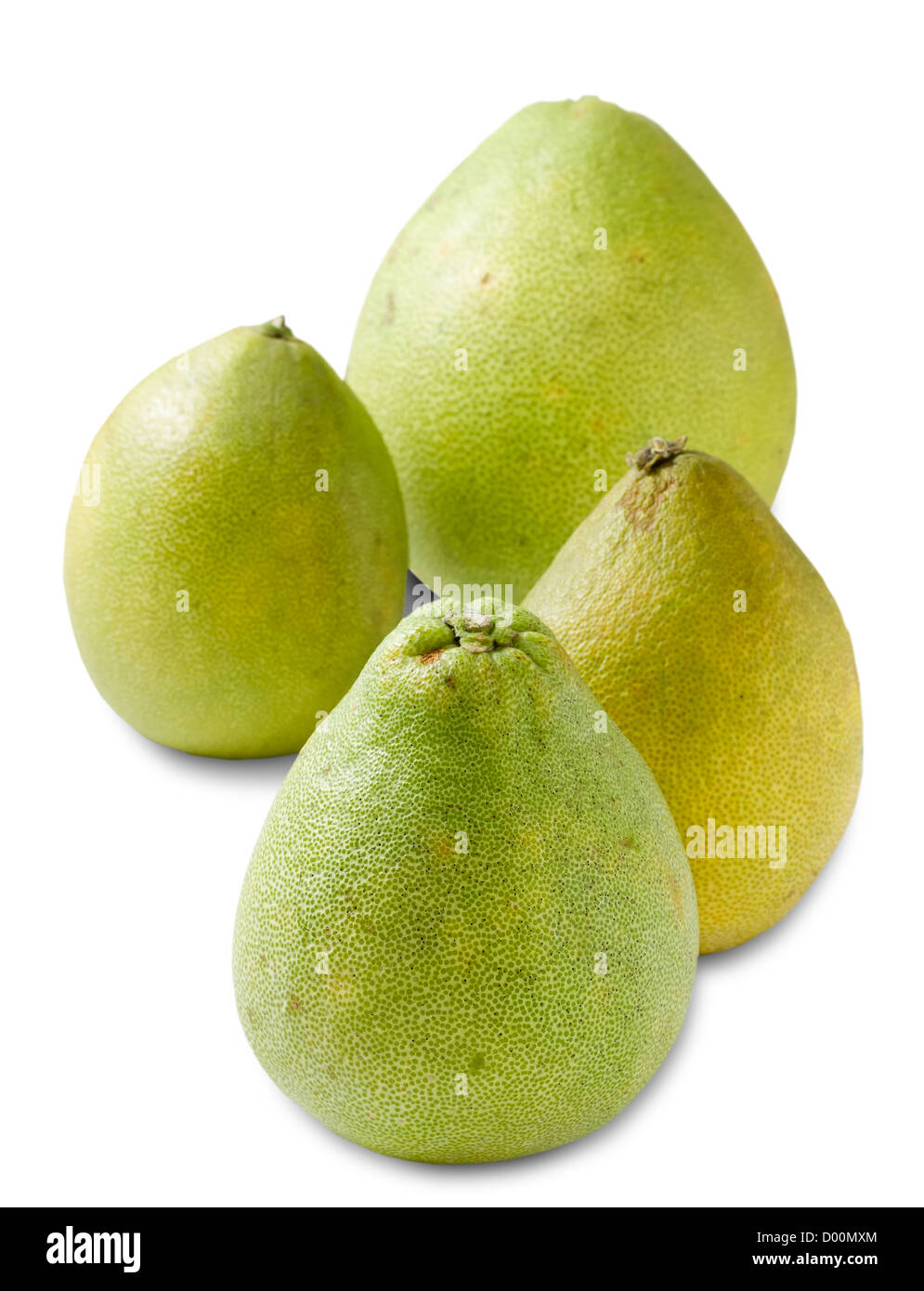 Shaddocks, group of fruit isolated on white background Stock Photo - Alamy