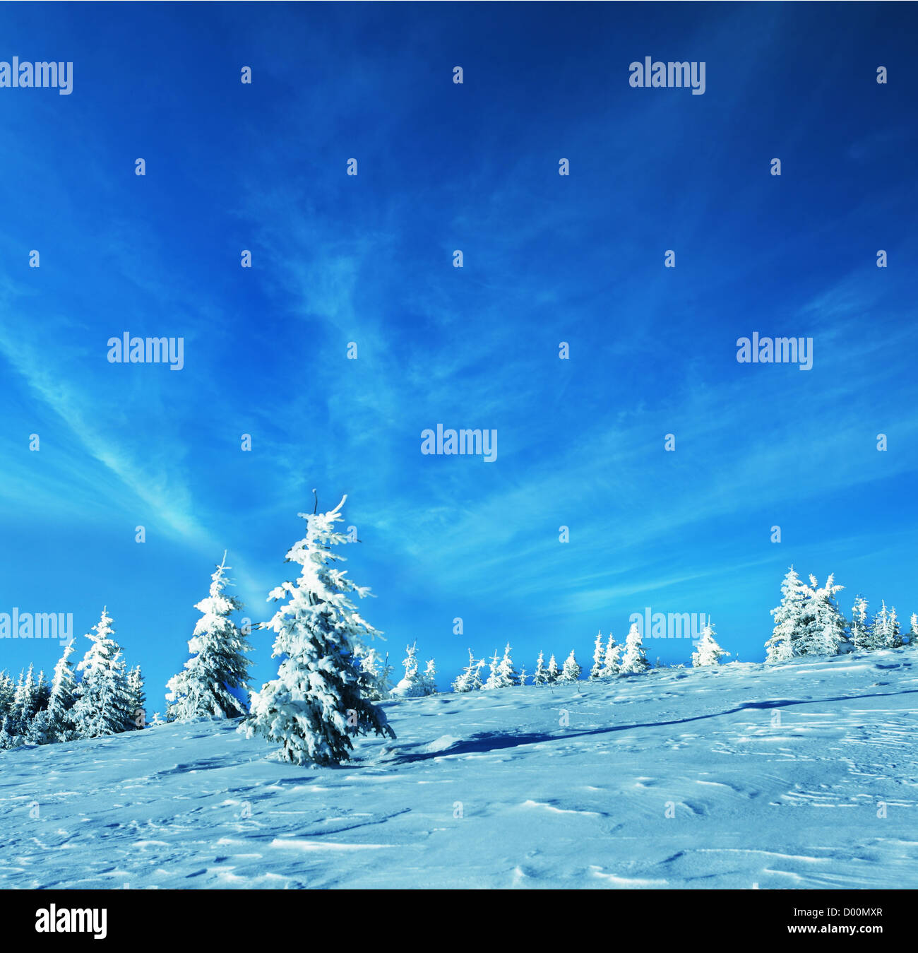 Frozen theme hi-res stock photography and images - Alamy