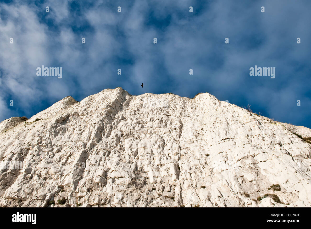 Looking up at the famous White Cliffs, between Deal and Dover, Kent, UK ...