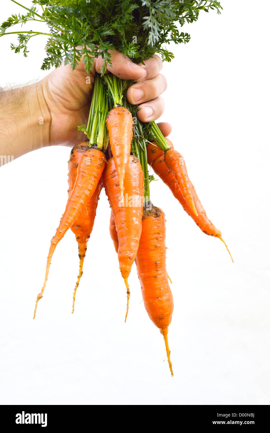 Unwashed carrot hi-res stock photography and images - Alamy