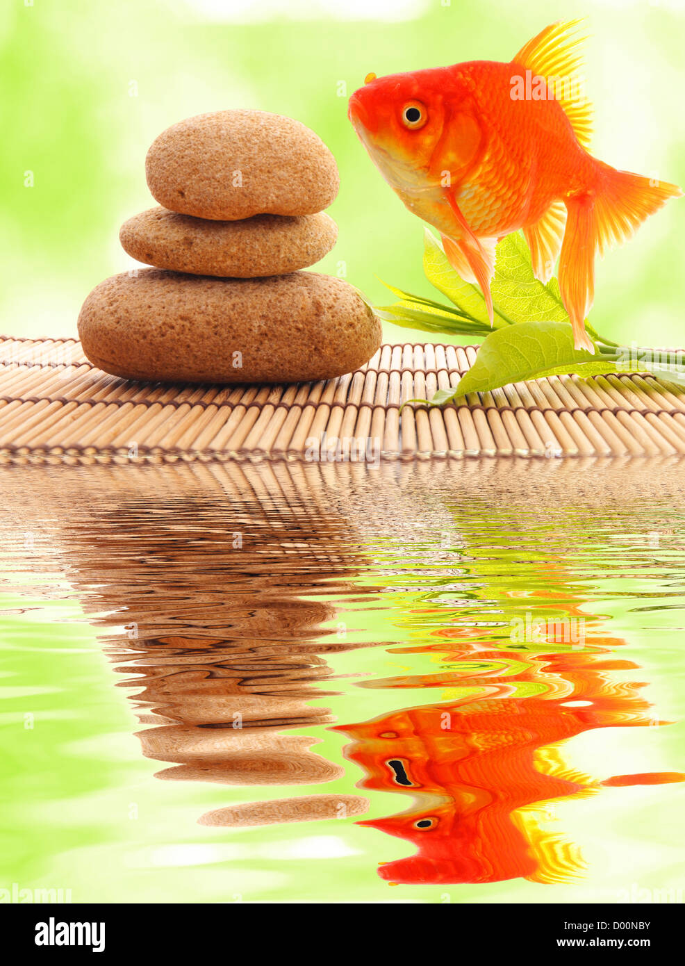 zen or spa concept with stones goldfish and water reflection Stock ...
