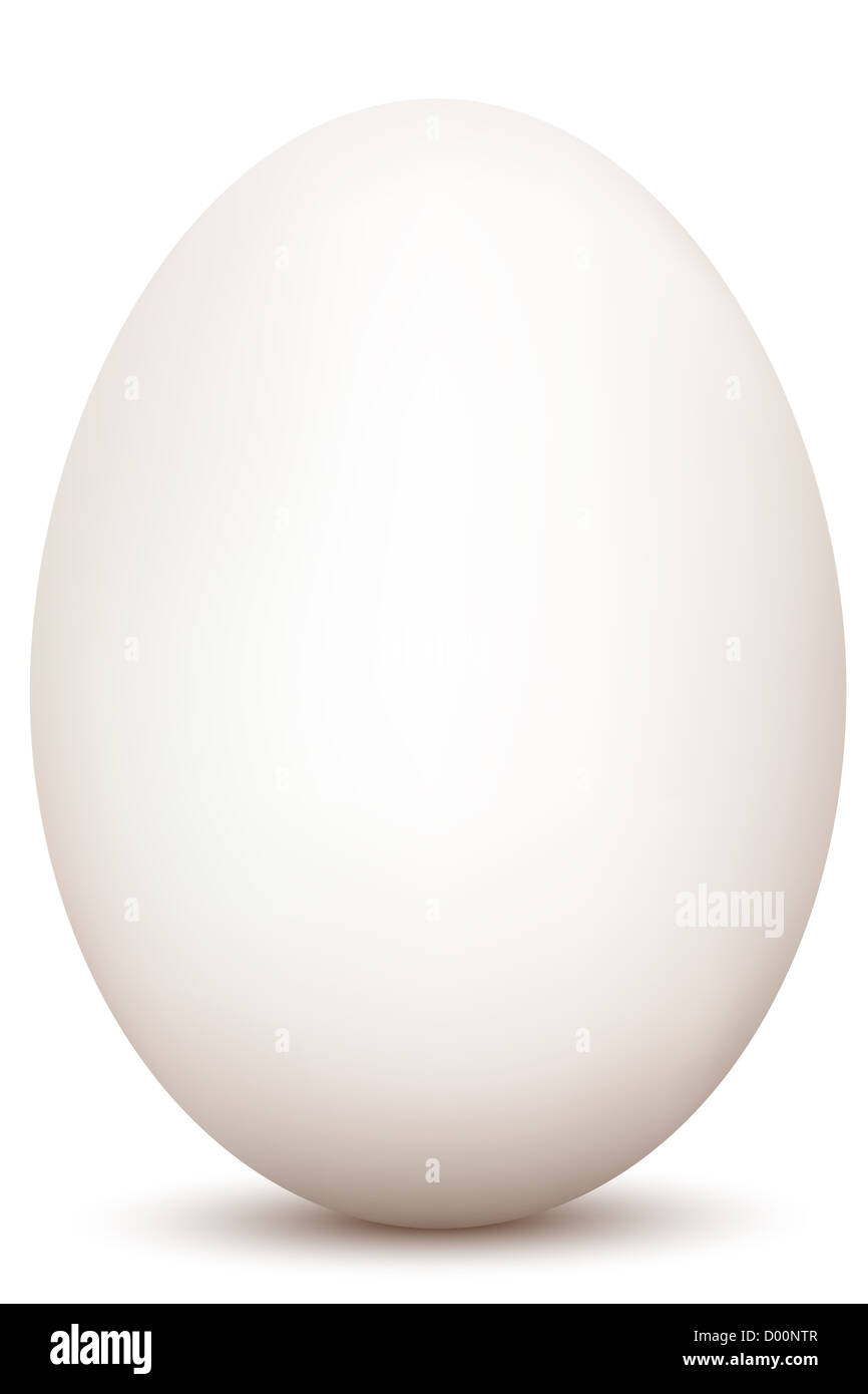 illustration of egg on white background Stock Photo - Alamy