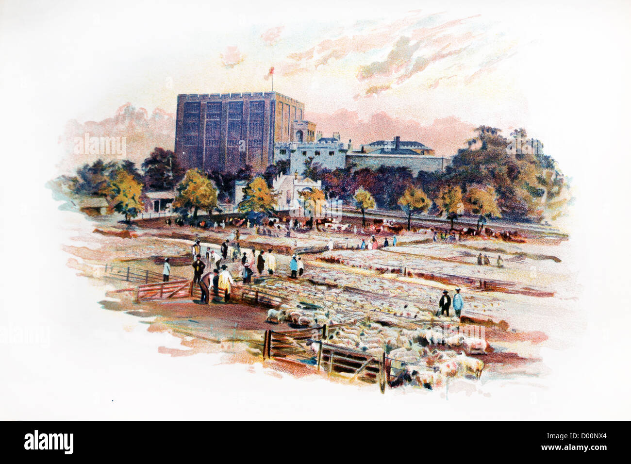 Illustration Of Norwich Castle And Sheep Farm By Charles Wilkinson From ...