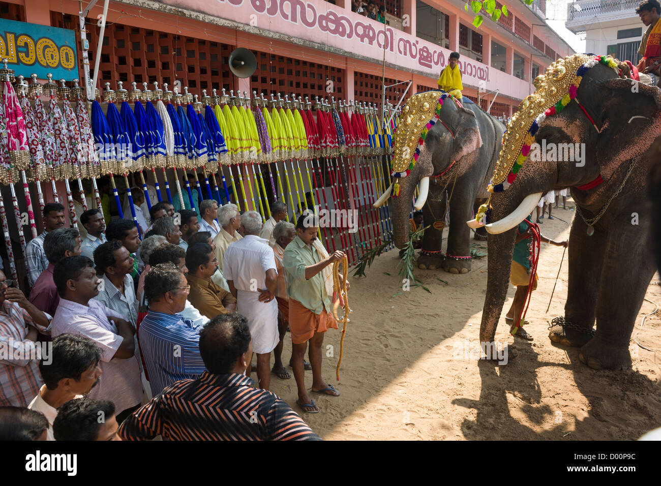 Pilgrims watching elephants being prepared for the Goureeswara Temple ...