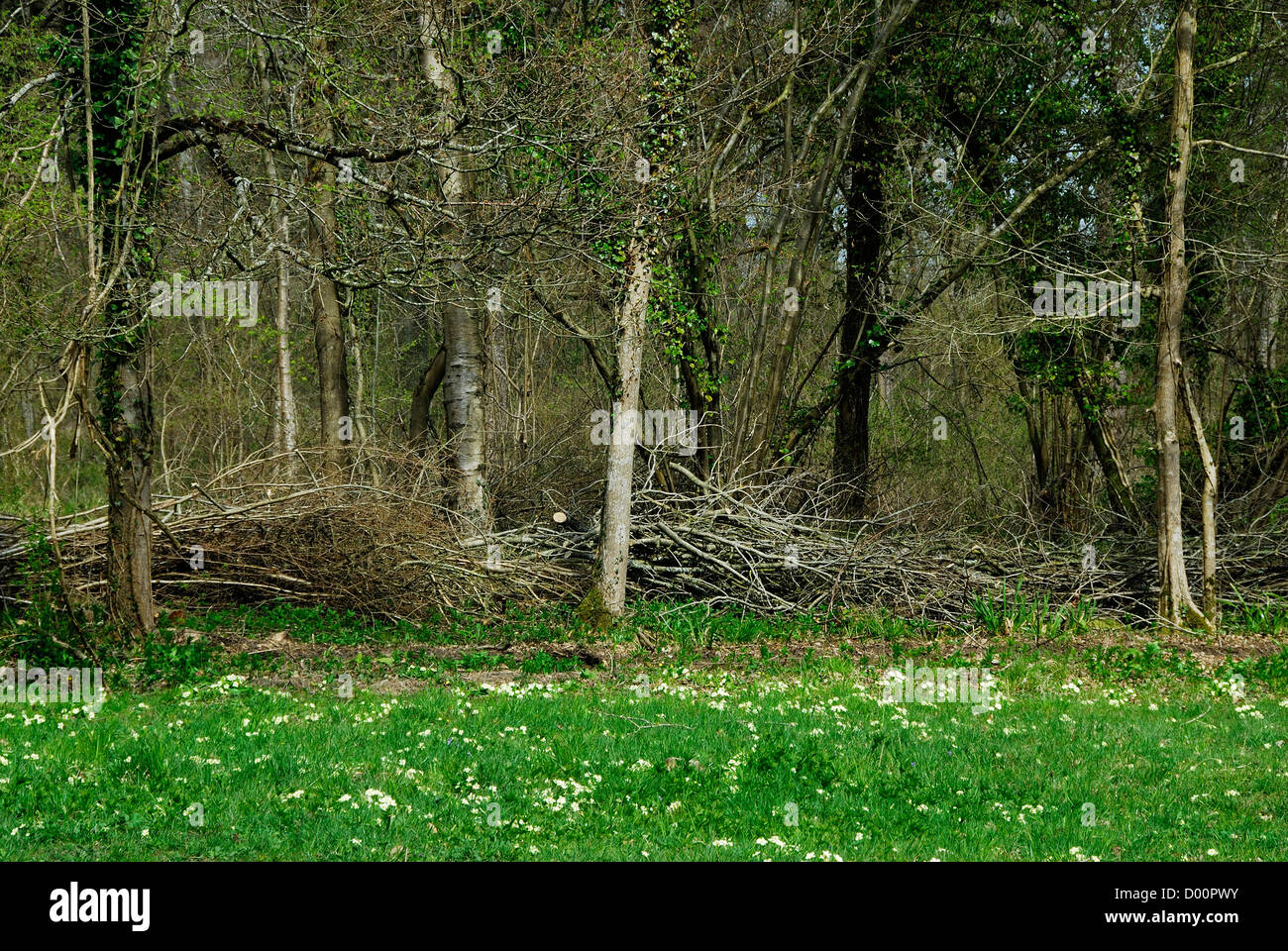 Breach clearing hi-res stock photography and images - Alamy