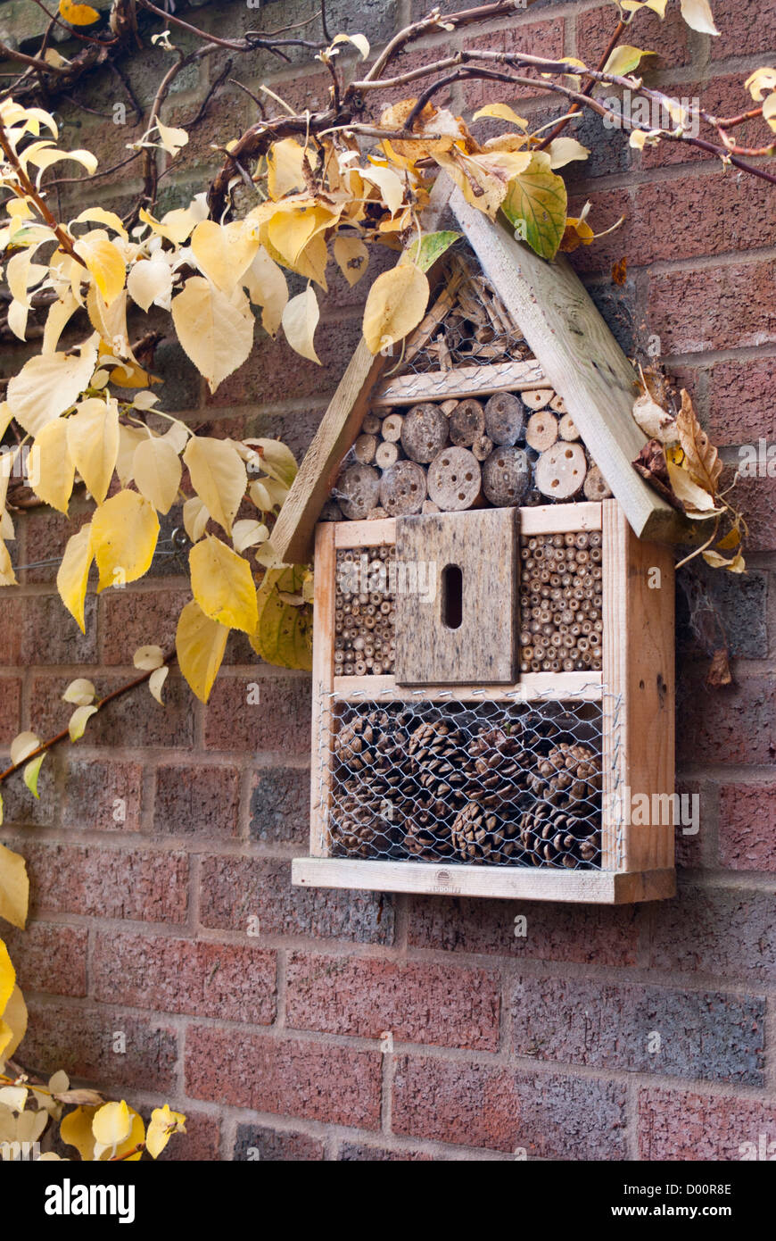 bee and insect box fixed to garden wall Stock Photo - Alamy