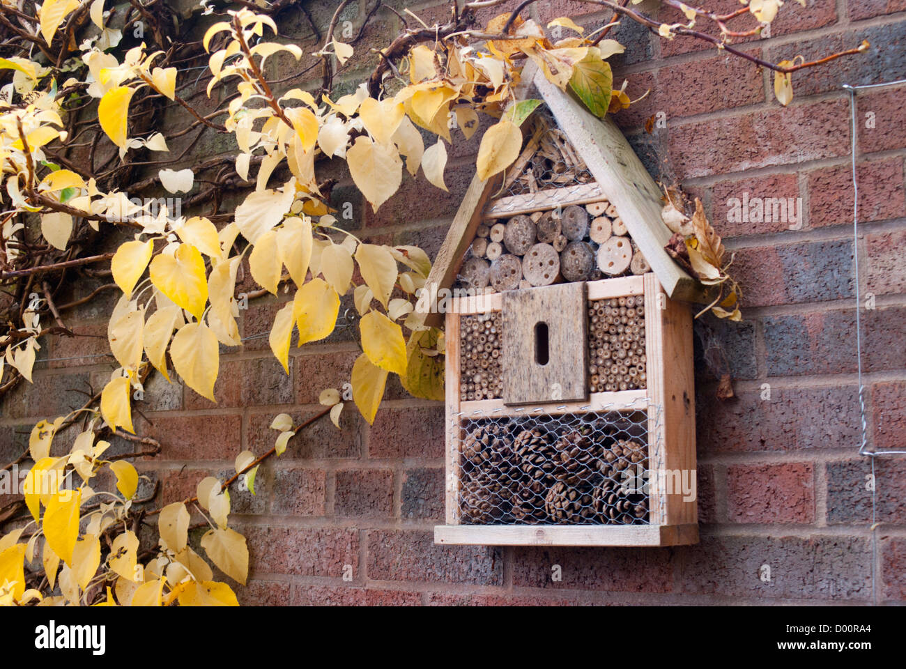 Insect hotel hi-res stock photography and images - Alamy