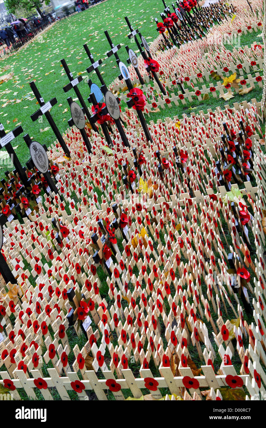 Westminster abbey field of remembrance hi-res stock photography and ...