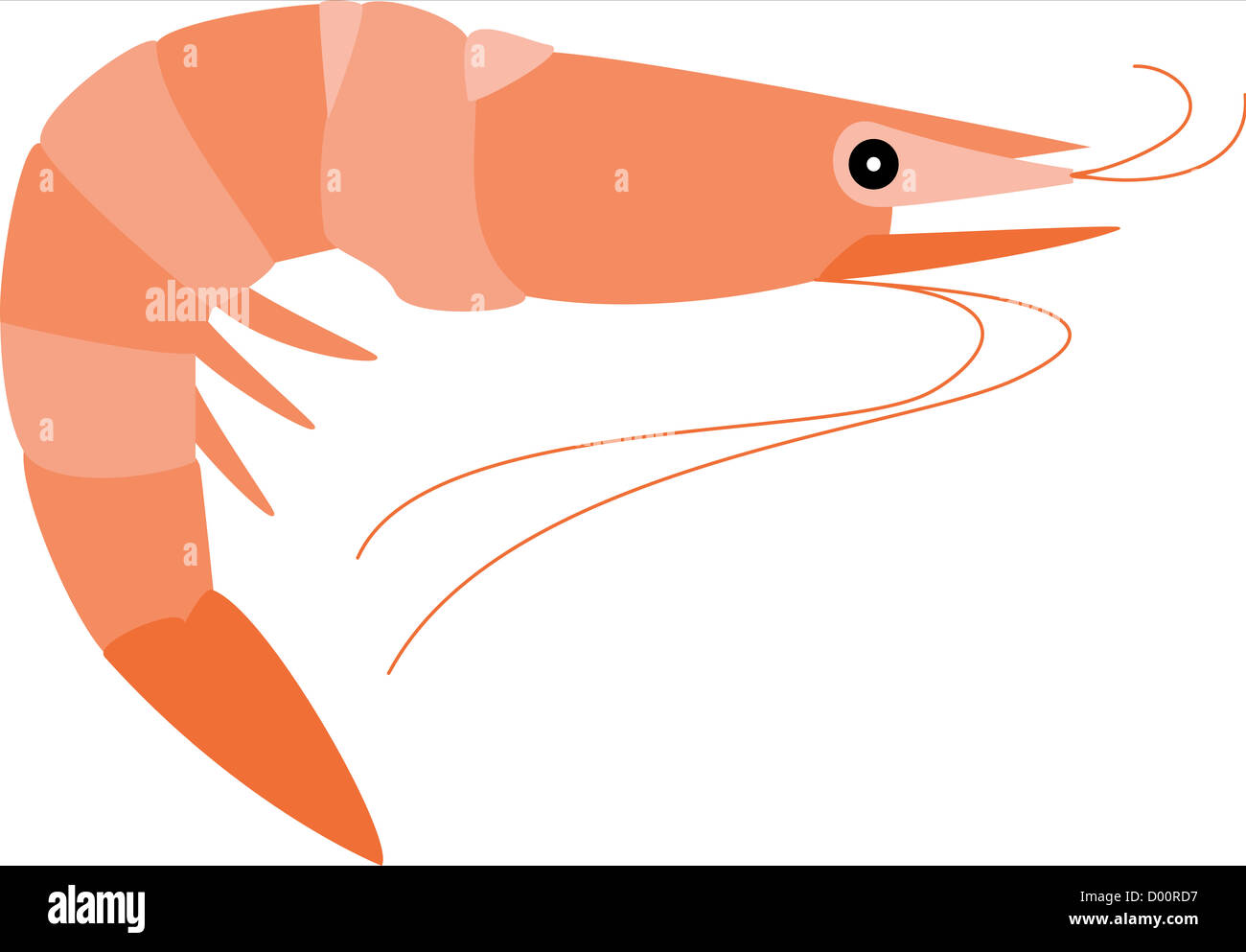 Shrimp art hi-res stock photography and images - Alamy