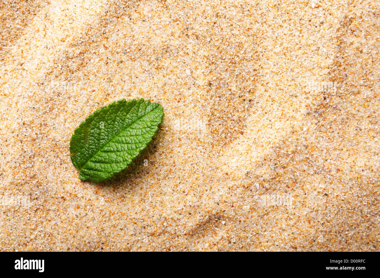 zen stone with leaf on sand showing spa concept Stock Photo - Alamy