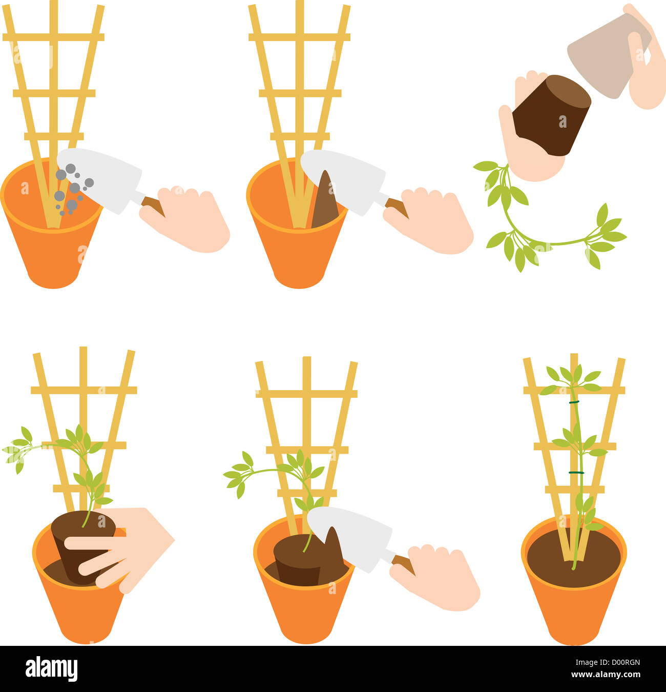 Montage plant hi-res stock photography and images - Alamy