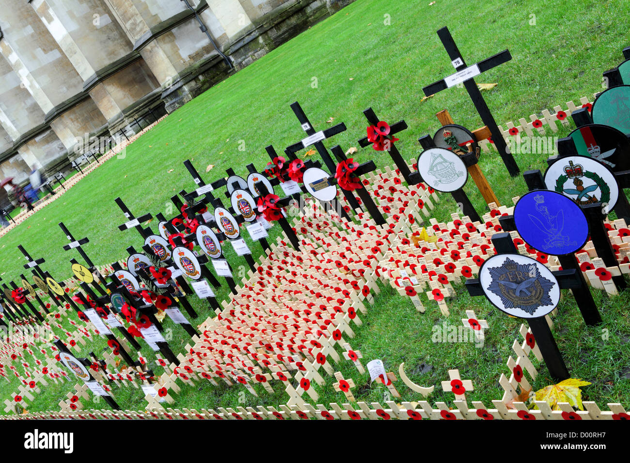 Poppy remembrance westminster abbey crosses war hi-res stock ...