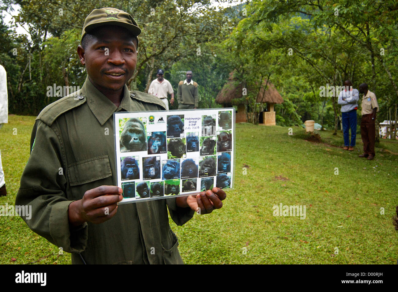 Gorilla trekking tour hi-res stock photography and images - Alamy