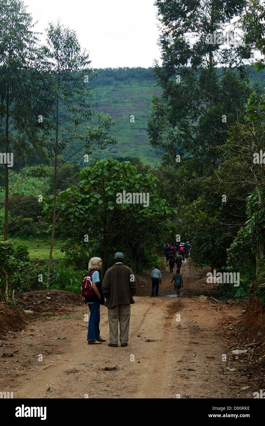 Gorilla trekking tour hi-res stock photography and images - Alamy