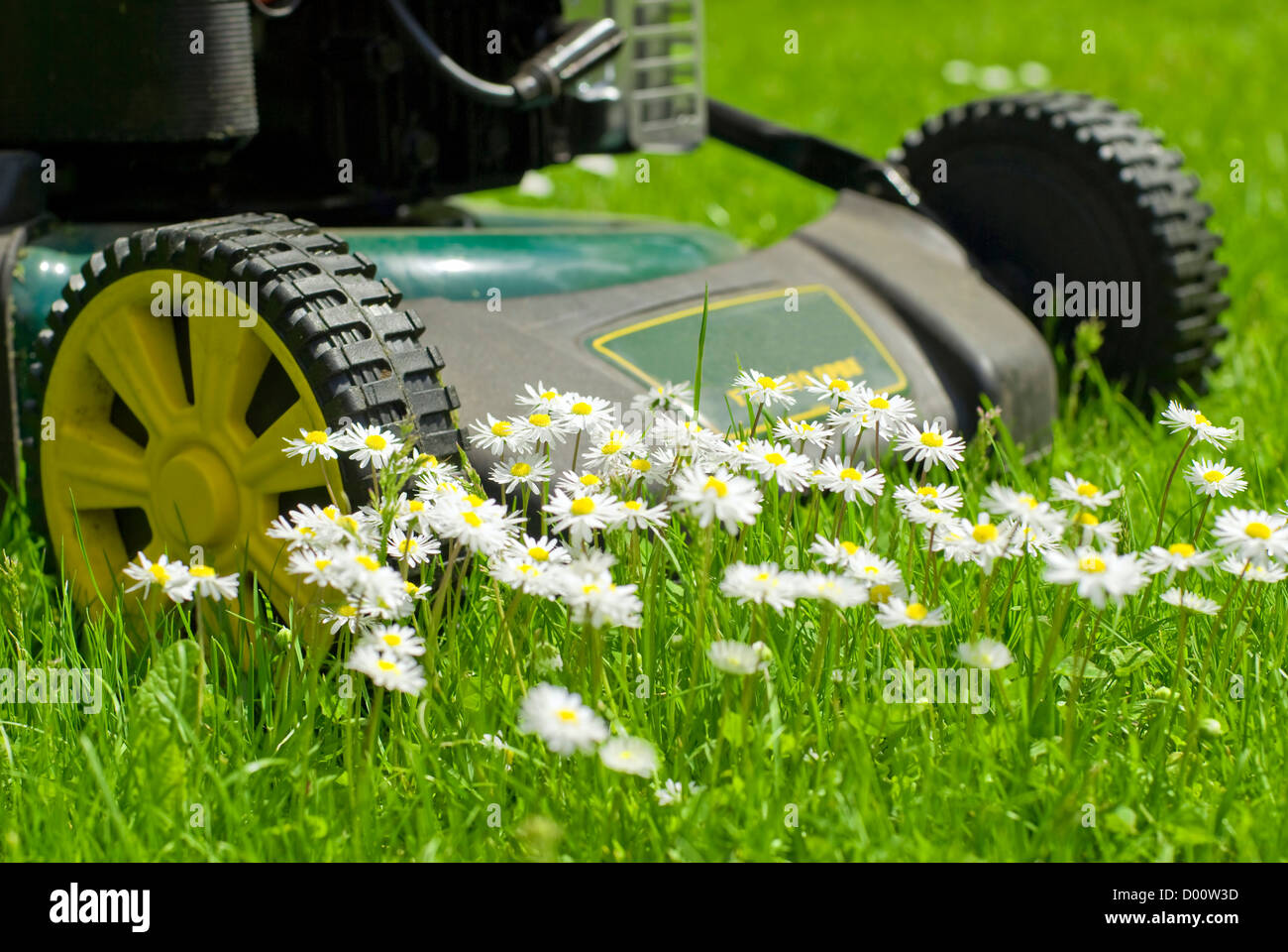 a lawnmover surrounded by flowers in the lawn Stock Photo - Alamy