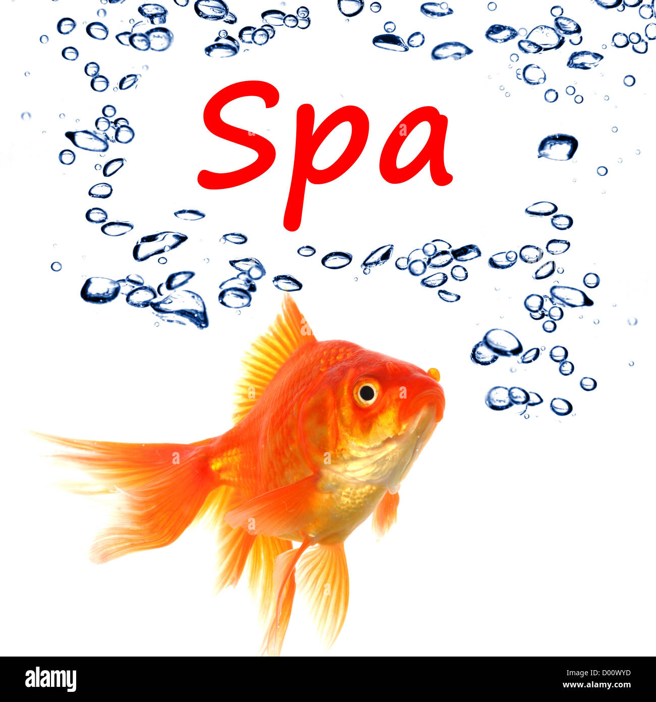 spa concept with goldfish and water bubbles on white background Stock ...