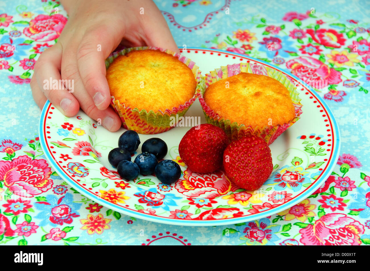 Serving blueberry muffins Stock Photo - Alamy