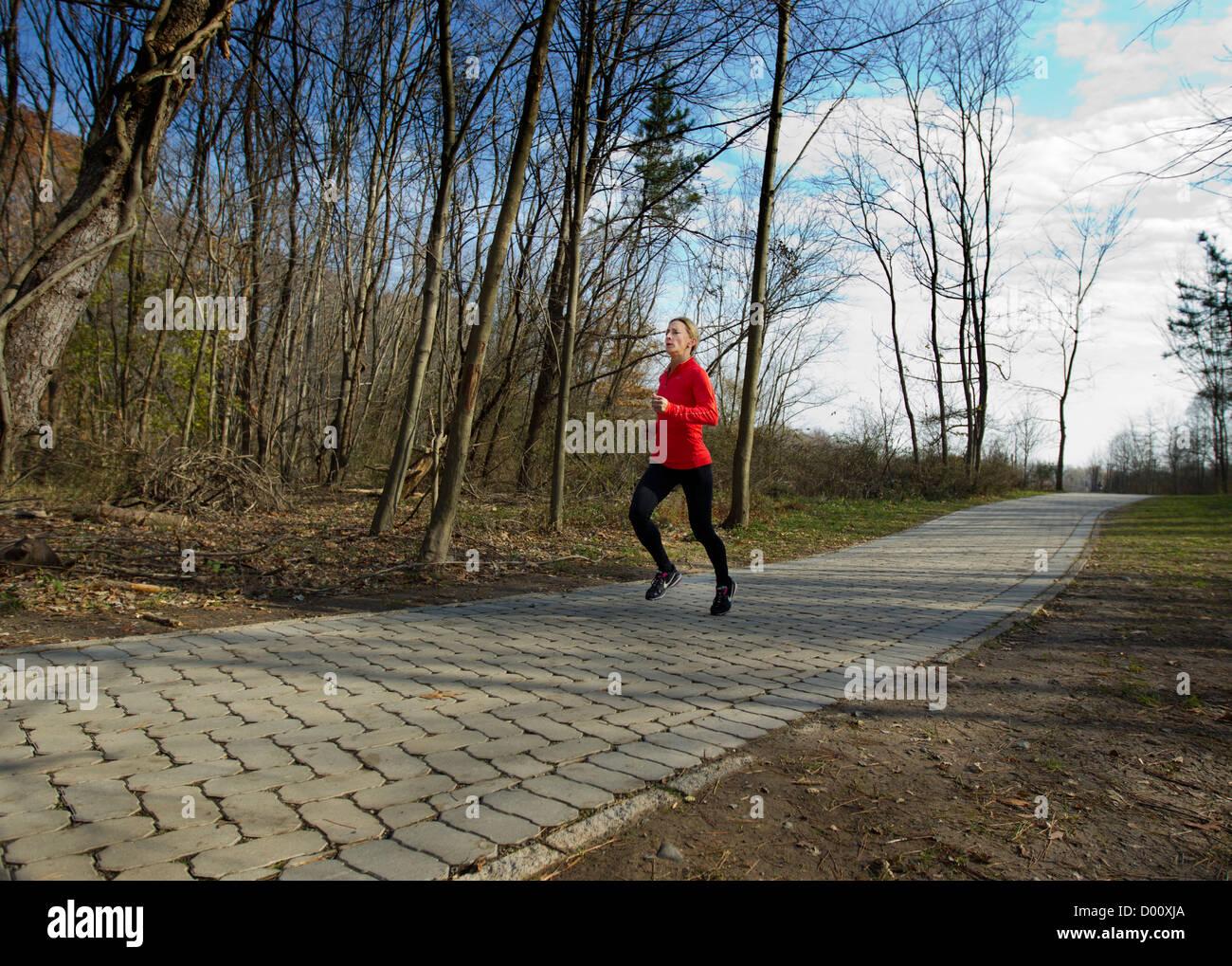 Fit woman jogging on a path Stock Photo - Alamy