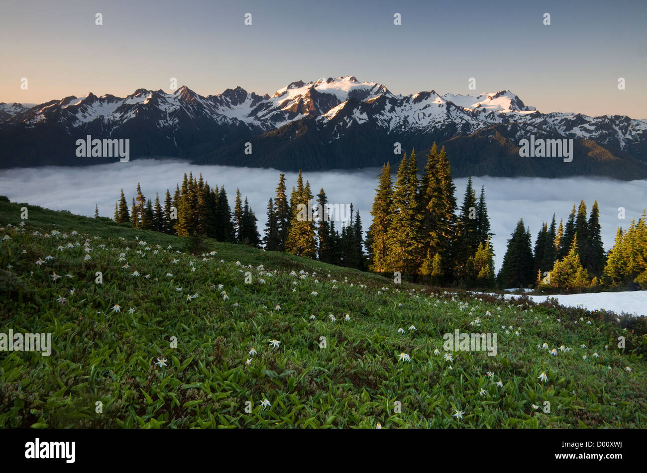 Mount olympus hi-res stock photography and images - Alamy