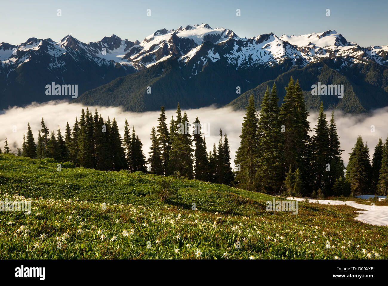 Mount olympus washington hi-res stock photography and images - Alamy