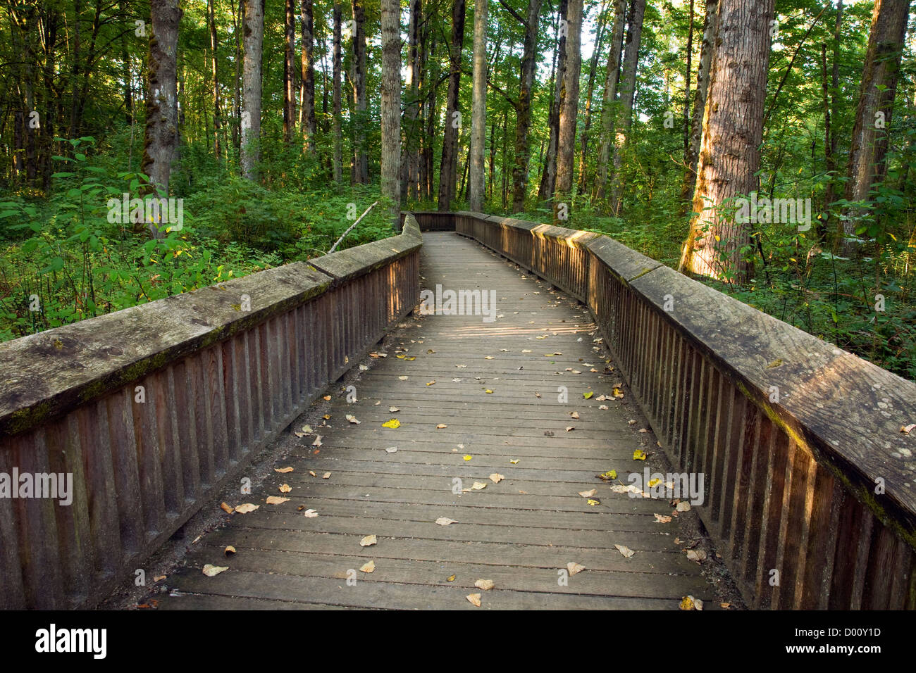 Nisqually national wildlife refuge hi-res stock photography and images ...