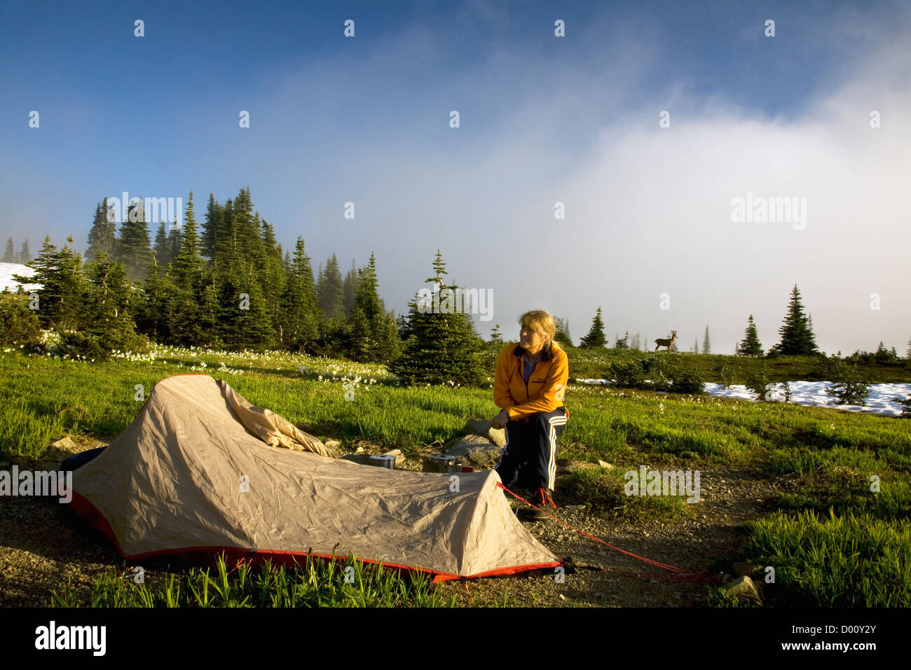 Appleton High Resolution Stock Photography and Images - Alamy