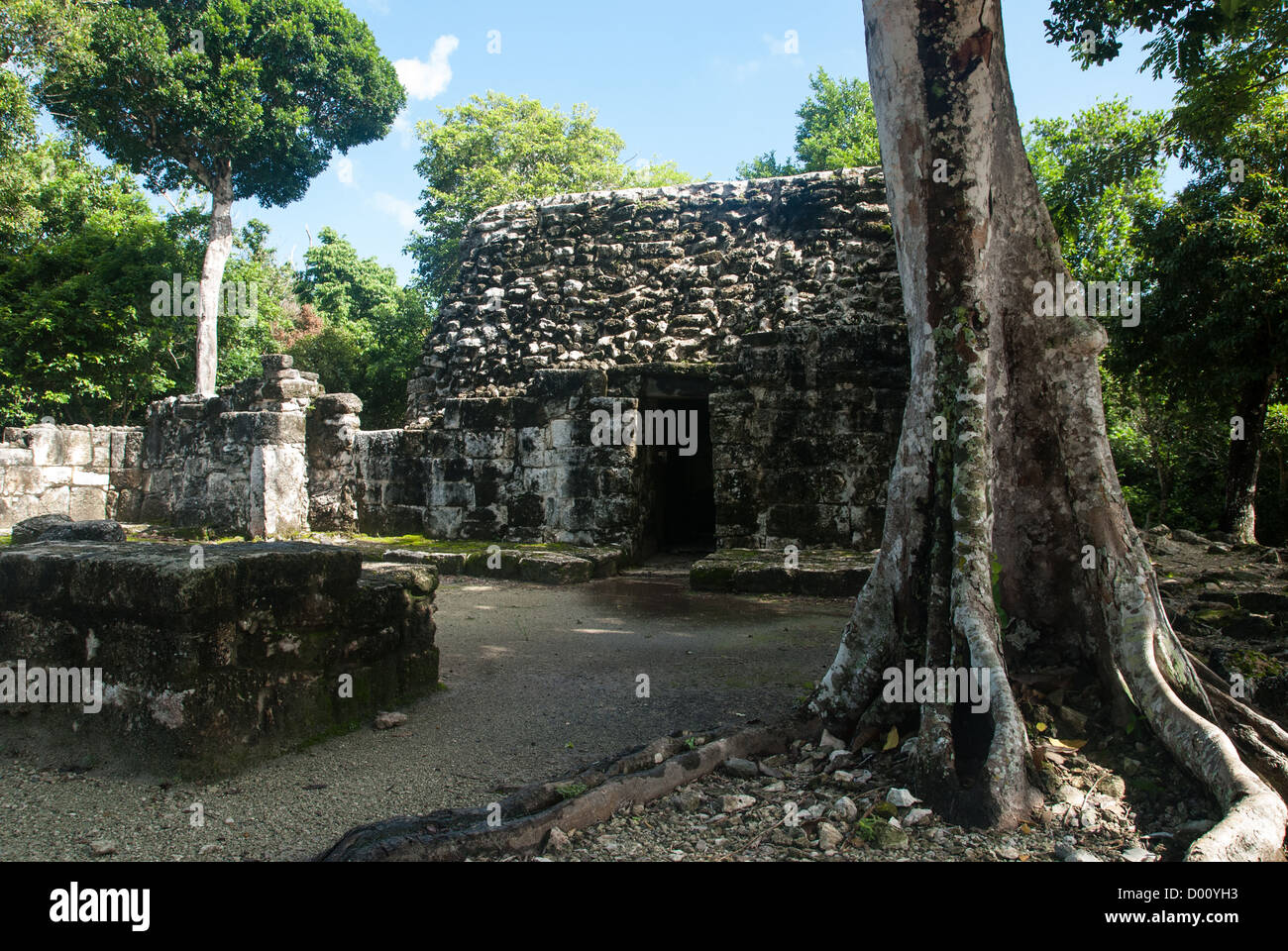 The San Gervasio Mayan ruins on the Mexican island of Cozumel Stock ...