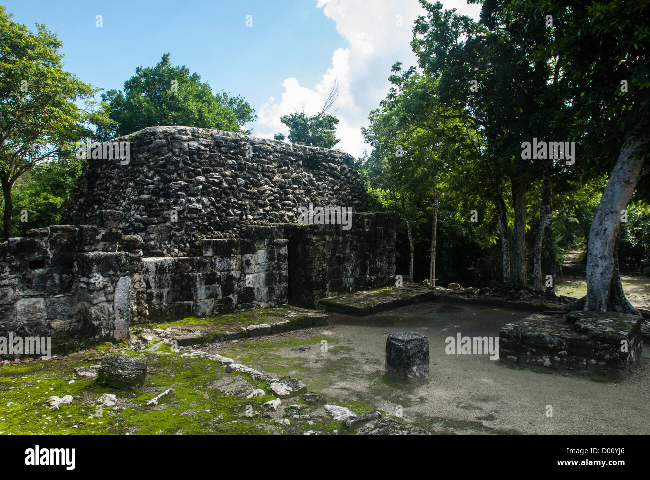 The San Gervasio Mayan ruins on the Mexican island of Cozumel Stock ...