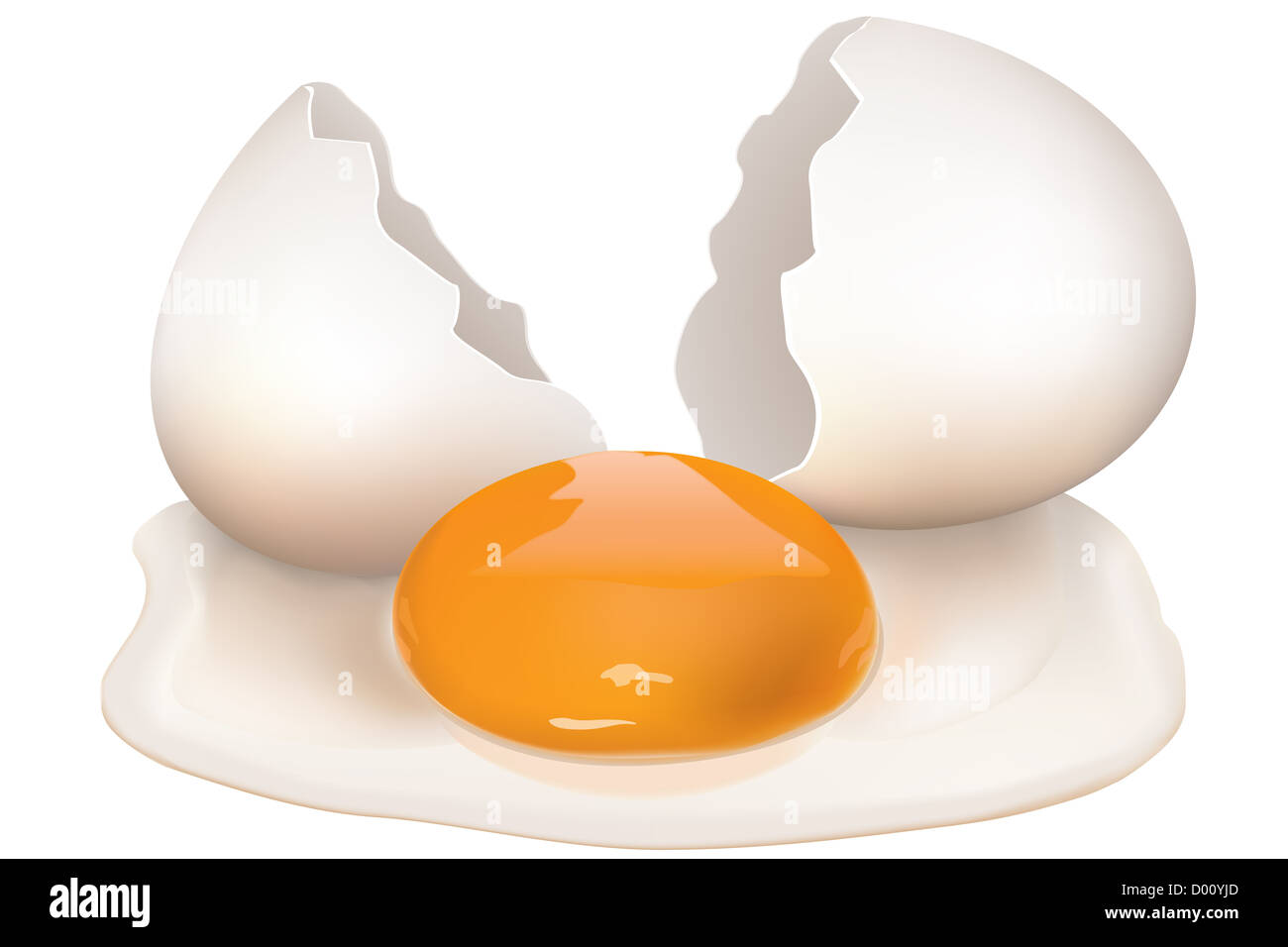 Broken Egg Shell White