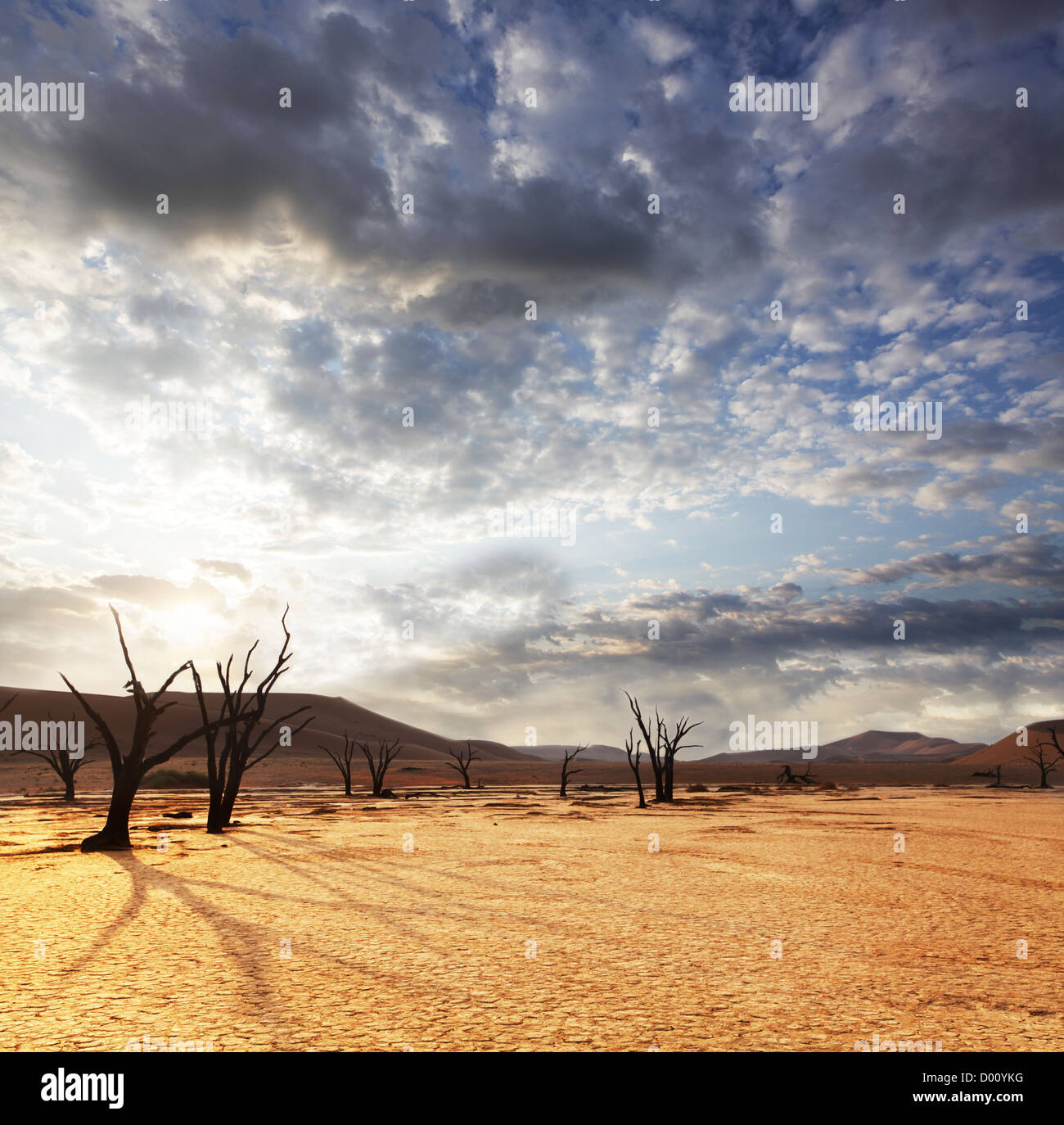Dead valley in Namibia Stock Photo - Alamy